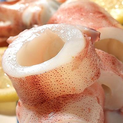 东山岛海钓火箭鱿鱼手钓大管