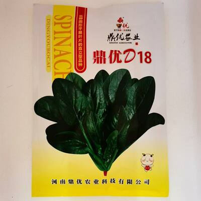 蔬菜瓜果种子菠菜种种子大叶菠菜种籽大田种鼎优D18菠菜高产耐寒