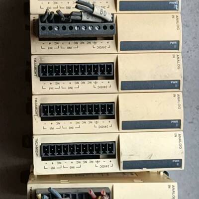 可维修Modicon TM2AMI2HT模块，总共八个，标的
