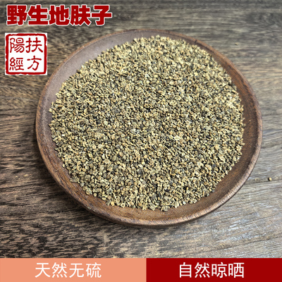 扶阳经方地肤子中药材野生