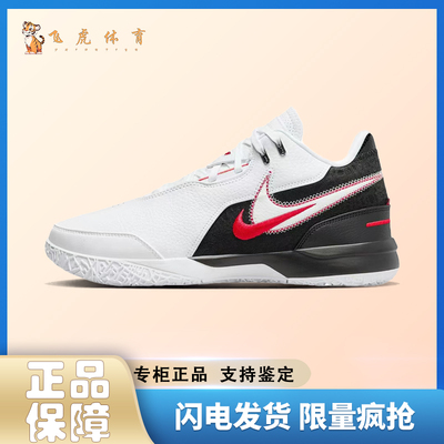 Nike LeBron NXXT Gen 白黑 潮流运动  男款低帮篮球鞋FJ1567-100