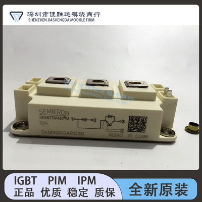 SKM400GB125D SKM400GB128D SKM400GAL125D SKM300GAR123D