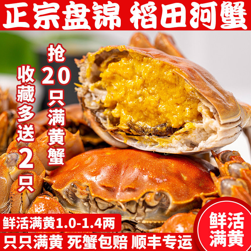 盘锦河蟹六月黄螃蟹稻田河蟹20只公母蟹鲜活蟹大闸蟹礼盒辽宁包邮