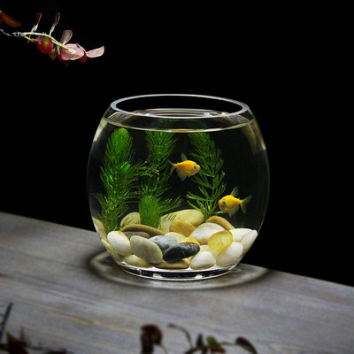 润和西溪 家用桌面金鱼缸小型水晶玻璃斗鱼缸热带鱼缸加厚高透亮