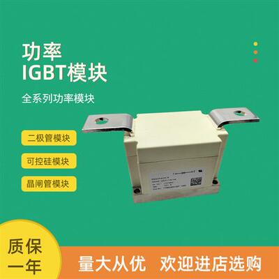 二极管模块全新SKKE290F06   SKKD152/16 H1