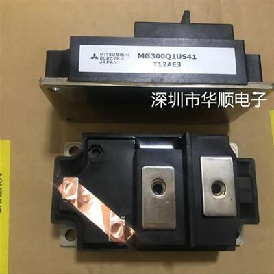MG300Q1US41 MG400Q1US41 MG300Q1US11 MG400Q1US1 MG400Q1US11
