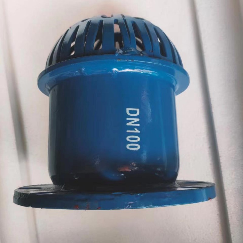 H42X-6/10法兰底阀止回阀水泵用大通水量花篮头DN50DN65DN80DN100_虎窝淘