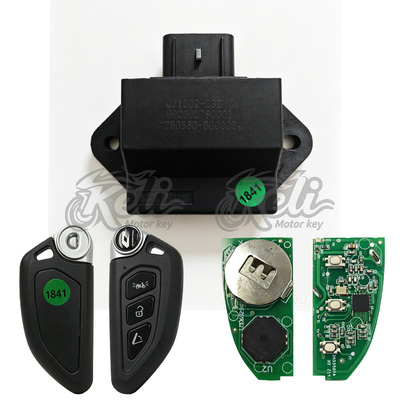 用于钱江QJ鸿150ADV/250ADV/350gt都市版菲诺125/壹米150遥控钥匙