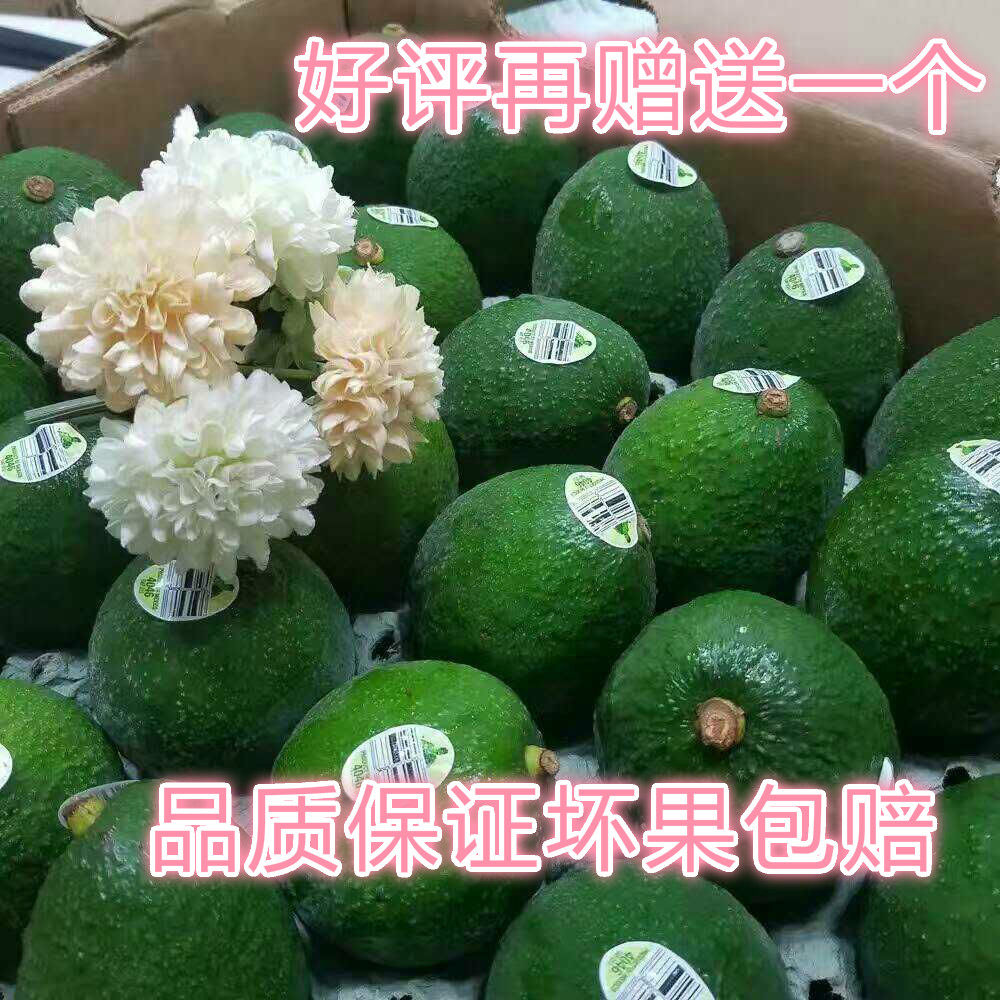 5赠一精品品质新鲜秘鲁哈斯牛油果进口当季水果鳄梨孕妇宝宝辅食