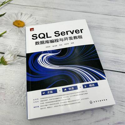 SQL Server 数据库编程与开发教程武相军化学工业出版社