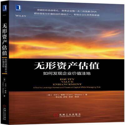 无形资产估值:如何发现企业:a tool to leverage human and financial capital while managing risk卡尔希勒机械工业出版社