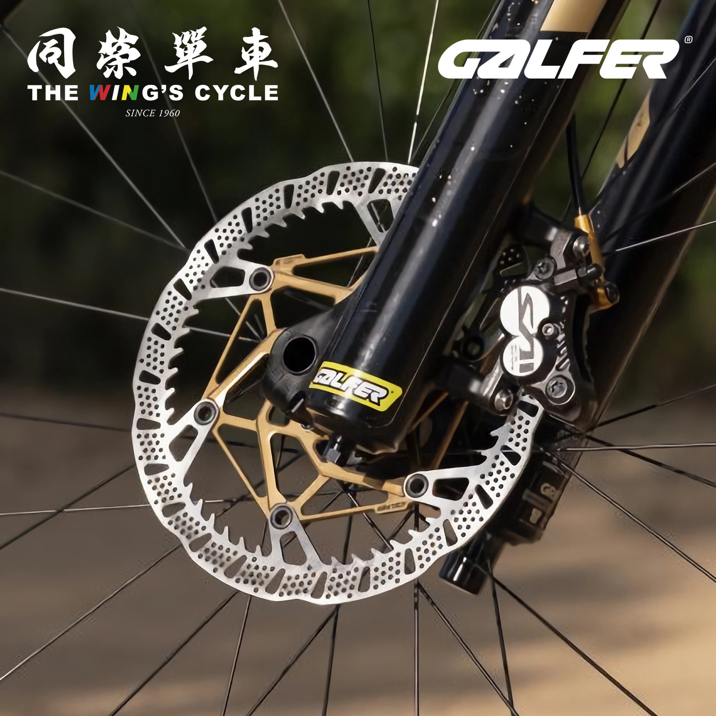 Galfer New Shark山地自行车刹车碟片六钉中锁180/203/223X2.0mm
