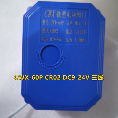 CWX-60PCR02DC9-24VDN25铜