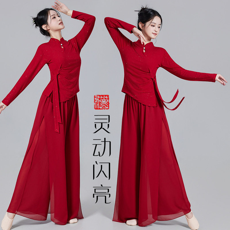 2025新款舞蹈服古典舞广场舞服装套装中国舞烫钻亮片飘带上衣飘逸