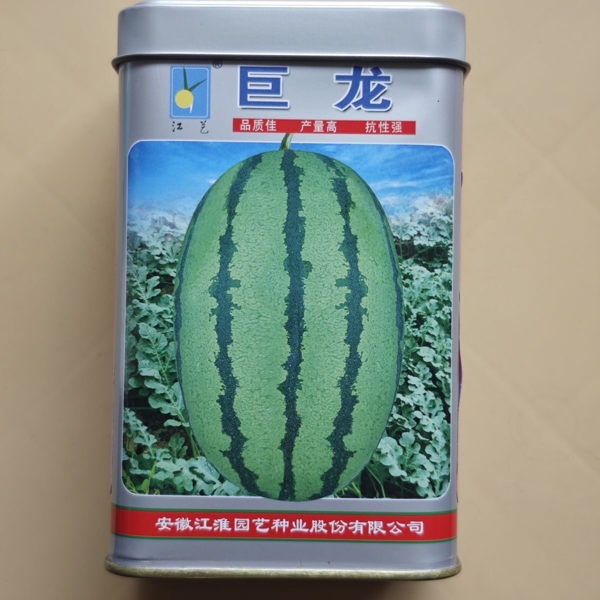 罐装巨龙西瓜种子特大高产甜中熟四季播种少籽大果型椭圆瓜皮西瓜