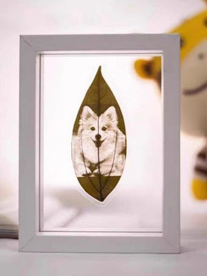 叶雕定制送朋友宠物树叶定制照片