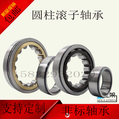 二类圆柱滚子轴承NJ NU1010 1011 1012 1013 1014 1015 1016EM C3