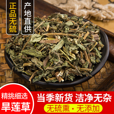 墨旱莲新鲜女贞子中药材