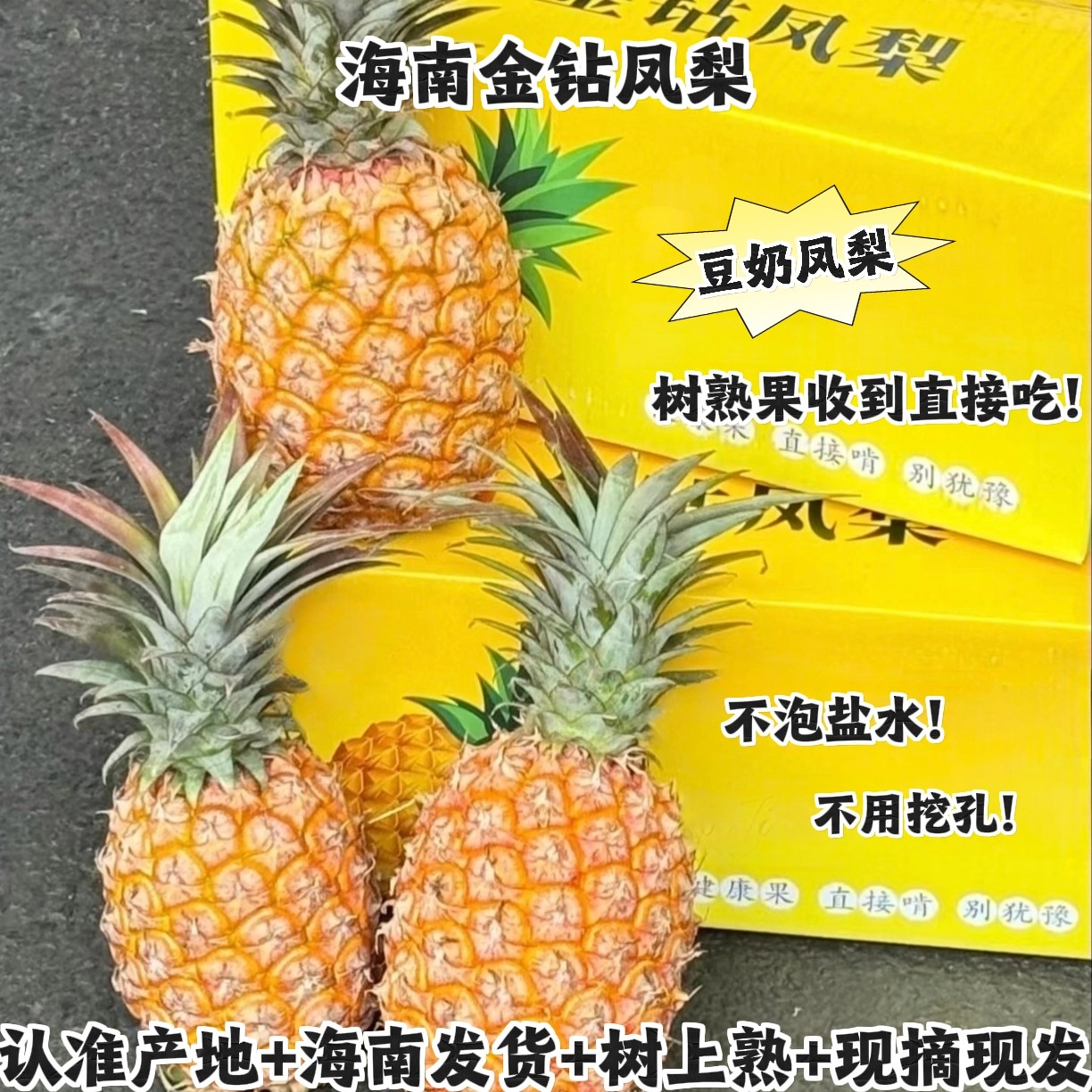 海南金钻凤梨正宗海南发货自然熟应季新鲜水果豆奶香赤道果甜蜜蜜