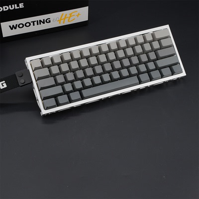 WOOTING 60HEV2满改-银镂空-黑白渐变