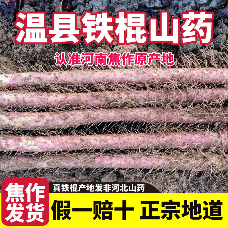 温县红皮乌鸡土铁棍山药5斤装河南焦作怀山新鲜正宗淮山土特产