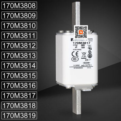 巴斯曼170M3815170M3819熔断器