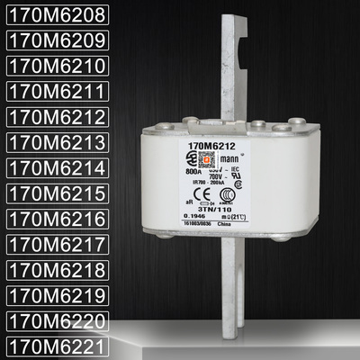 保险170M6219170M6221熔断器