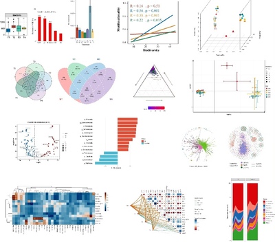 个人】r语言商科统计金融实证spss报告留学生Stata计量经济python