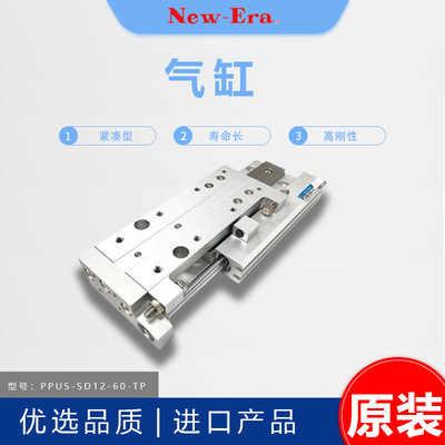 NEW-ERAPPUSD12-60-TP气
