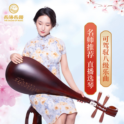 乐海琵琶乐器特氏古夷苏木材质