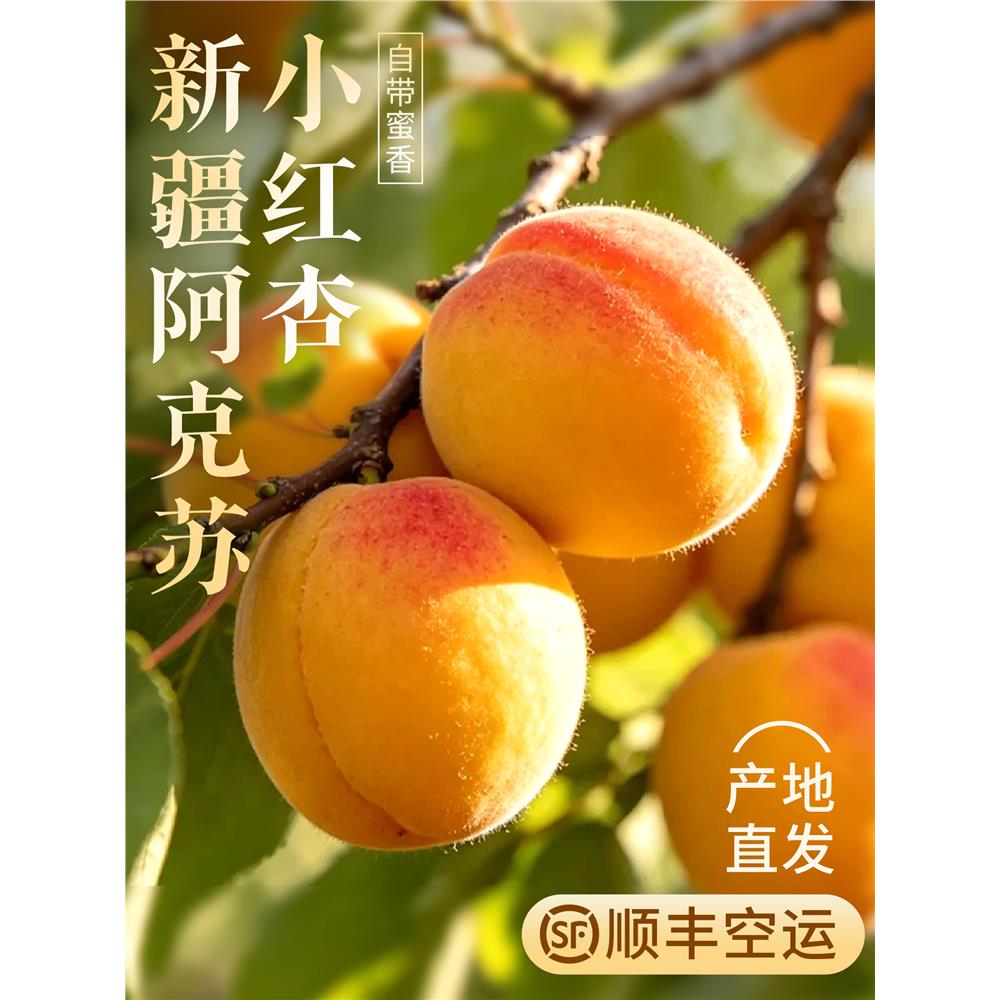 现货新疆小红杏新鲜杏子水果阿克苏吊干杏整箱当季甜胜吊干小红杏