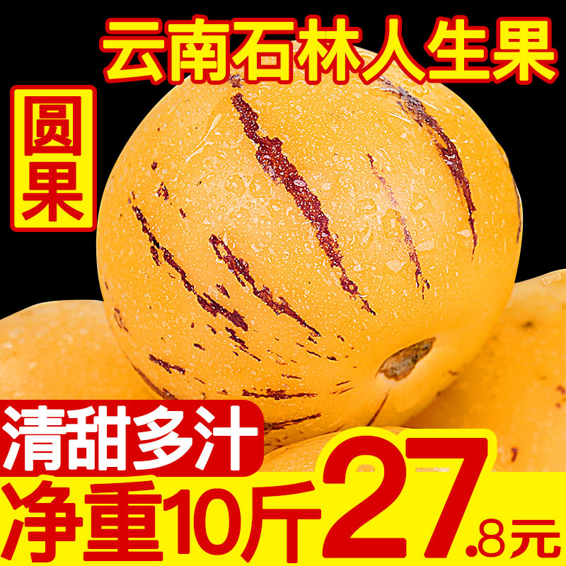 云南石林人参果净重10斤黄肉圆果水果新鲜当季人叁果整箱包装