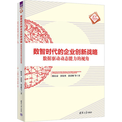 【官方正版】 数智时代的企业创新战略 陈衍泰, 罗海贝, 郭彦琳等著 清华大学出版社 9787302706373