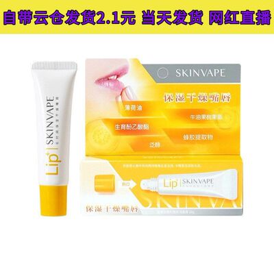 SKINVAPE未来润唇膏正品一件代发批发