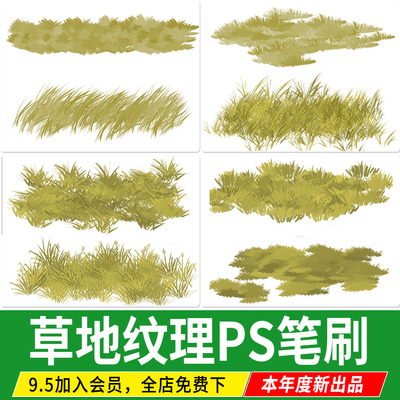 草地纹理PS笔刷procreate景观设计地被效果图分析图草坪特效素材