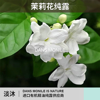 dans monile茉莉花纯露1kg原香液补水保湿爽肤水脸部护肤可湿敷