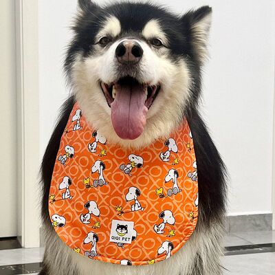 升级款宠物狗狗口水巾大型长毛犬保护胸毛萨摩围巾阿拉斯加口水巾