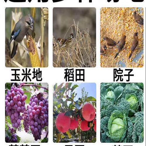 速发驱麻剂驱鸟药驱鸟神器吓t防鸟农田果鸽果园户外驱赶喜鹊鸟雀