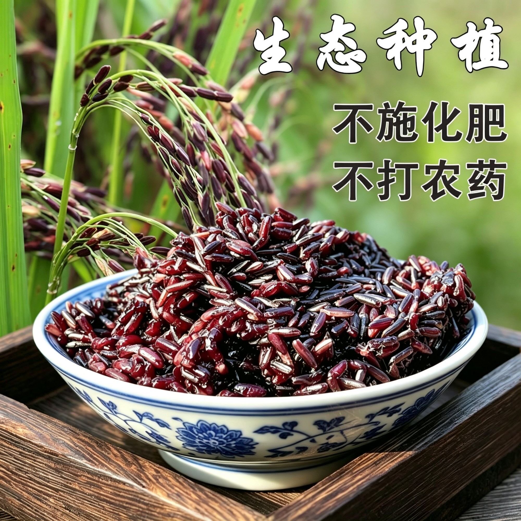 贵州农家自种老品种紫糯米古血米血糯米