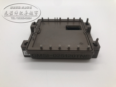 GMSI-025120TNE GMSI-015120TNE GMSI-010120TNE 质保