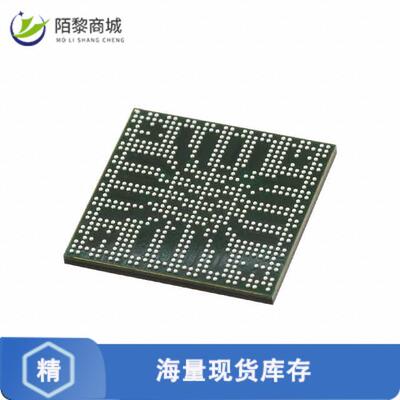 全新原装DM8107AAAR21正品/IC DGTL MEDIA PROCESSOR 6