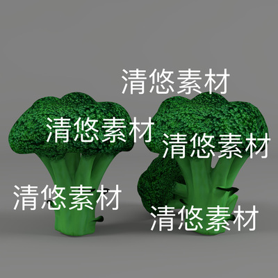 3dmax c4d fbx obj格式蔬菜西兰花模型文件 非实物D764