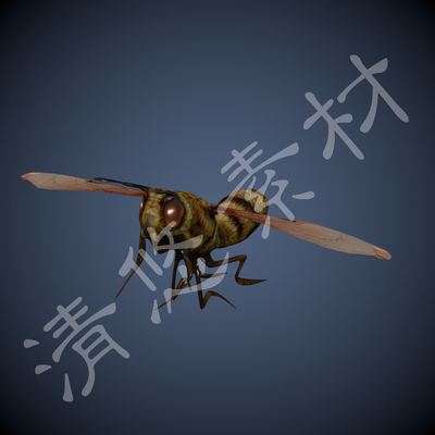 昆虫飞行动物黄蜂模型3dmax c4d fbx格式蜜蜂骨骼绑定 514 非实物