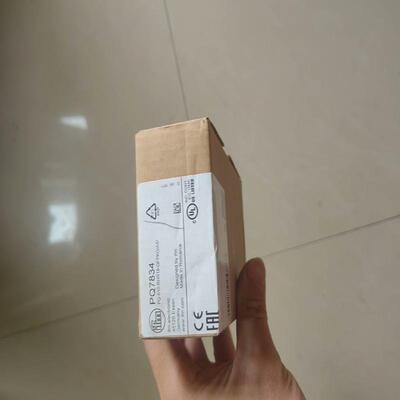PQ7834  易福门流量计(议价）