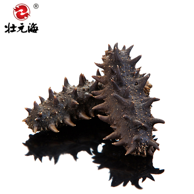 壮元海大连干海参辽刺参干货100g辽刺参海生有机 正品刺参礼盒