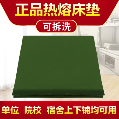 正品床垫军绿色防潮学生褥子