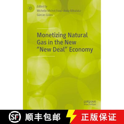 【3-4周达】Monetizing Natural Gas in the New “New Deal” Economy [9783030599829]