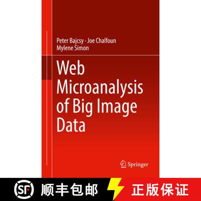 【3-4周达】精装 Web Microanalysis of Big Image Data [9783319633596]