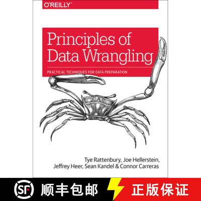 【3-4周达】Principles of Data Wrangling: Practical Techniques for Data Preparation [9781491938928]