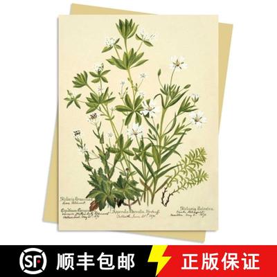 【3-4周达】Rbge: Charlotte Cowan Pearson: Stitchworts, Woodruff and Pepperwort Greeting Card Pack: Pa... [9781804178706]